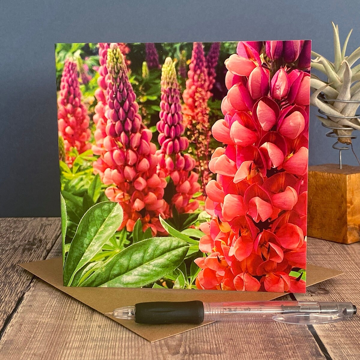 Lupin Greeting Card Orange Lupin Card Flower Birthday Card - Etsy