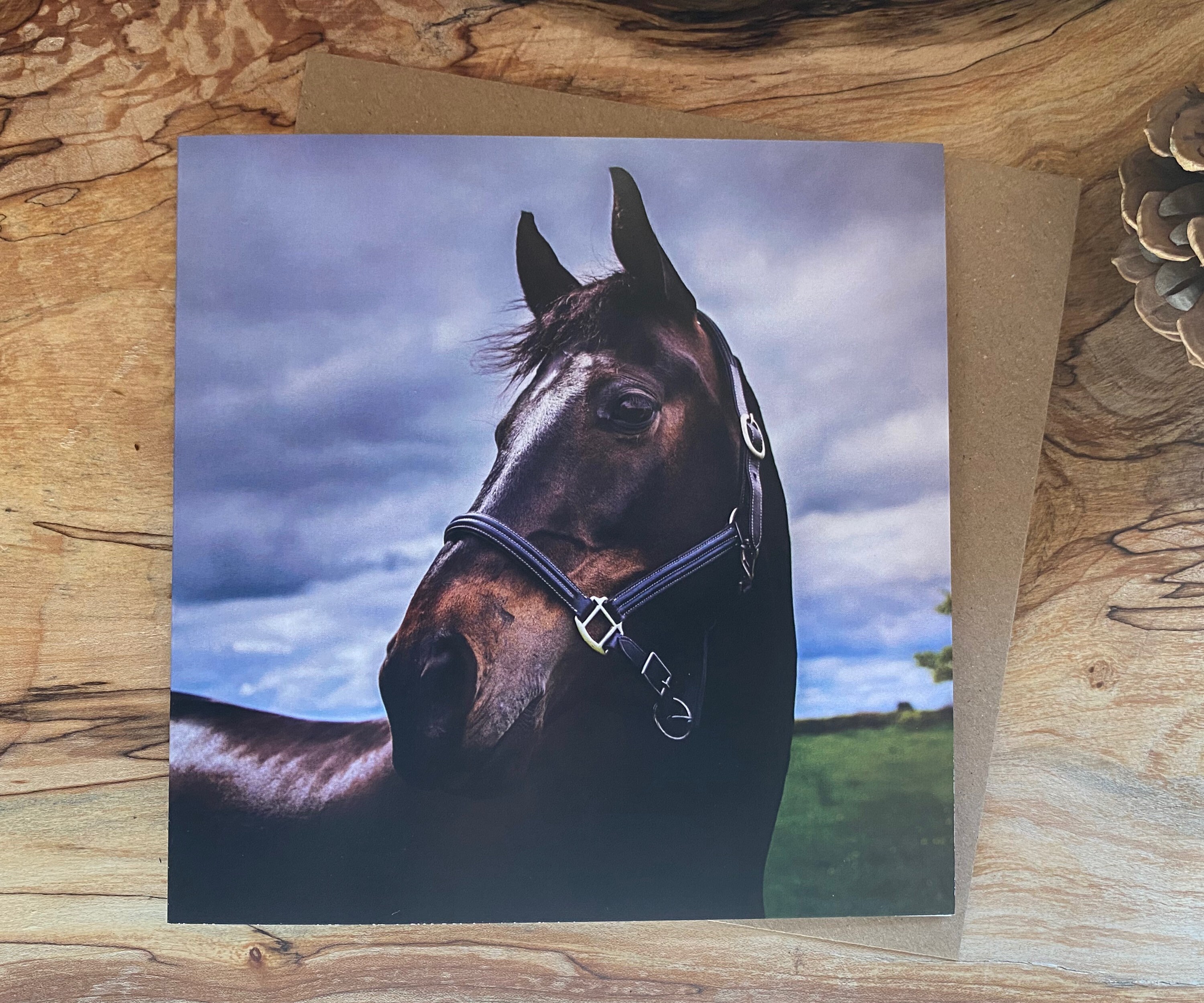 Horse Greeting Card Equestrian Greeting Card Horse - Etsy UK