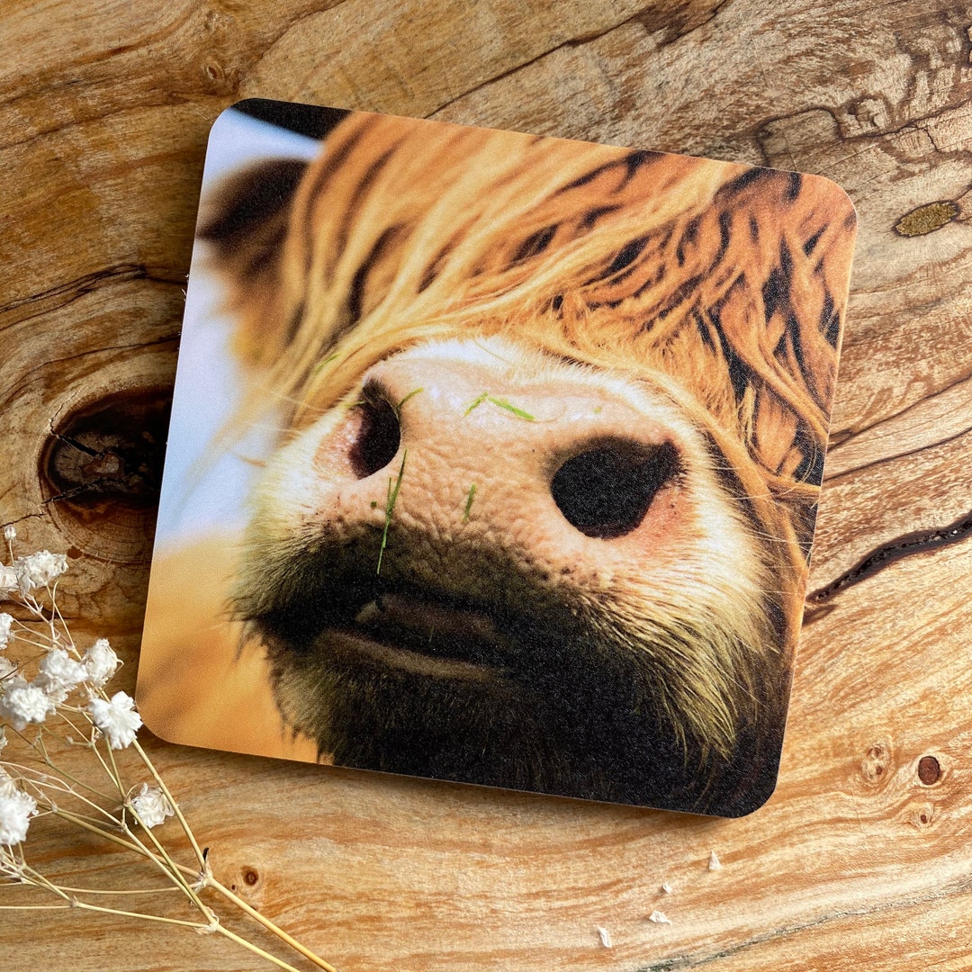 Set of Four Highland Cow Coasters, Drinks Coasters With Highland Cows ...