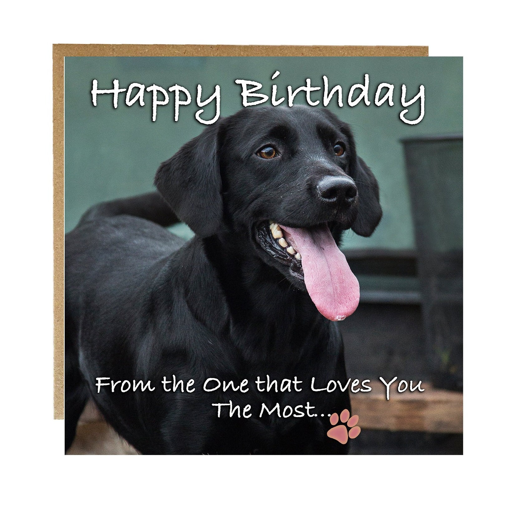 Dogs Happy Birthday Janet