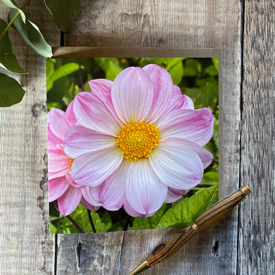 Pink Floral Greeting Card: Birthday, Anniversary, or Get Well - Etsy