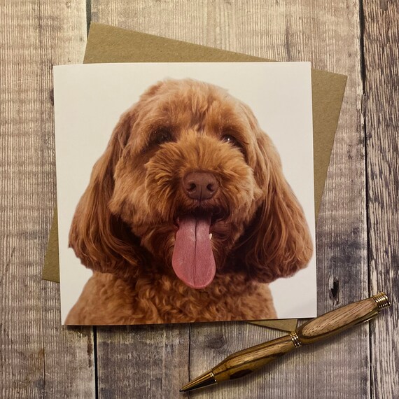 Cockapoo Greeting Card Dog Birthday Card Dog Card Blank - Etsy