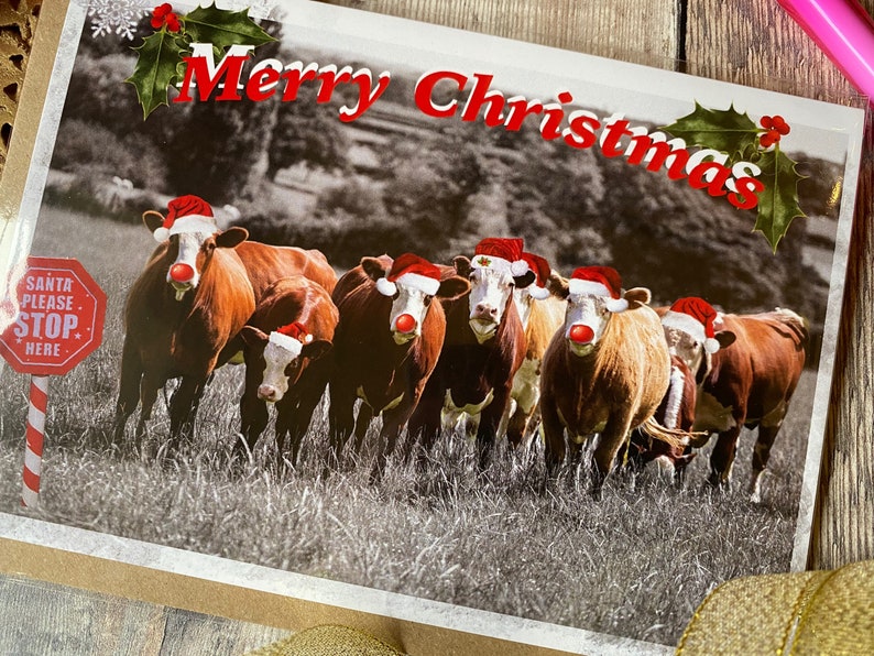 Cows Christmas Card - Farming Christmas Card- Farm Xmas Card - Santa ...