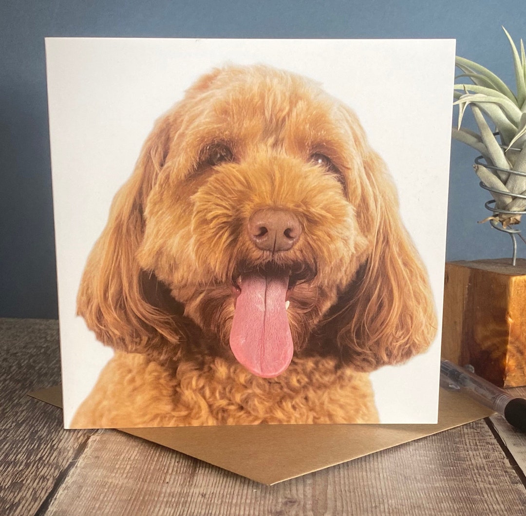 Cockapoo Greeting Card Dog Birthday Card Dog Card Blank Inside Any ...
