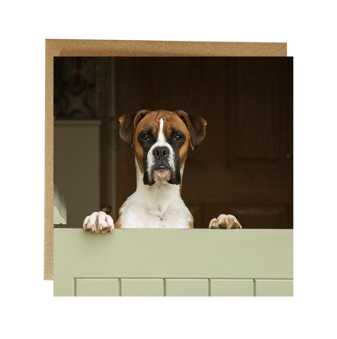 Boxer Dog Greeting Card - Fun Dog Greeting Card - Boxer Dog Birthday ...