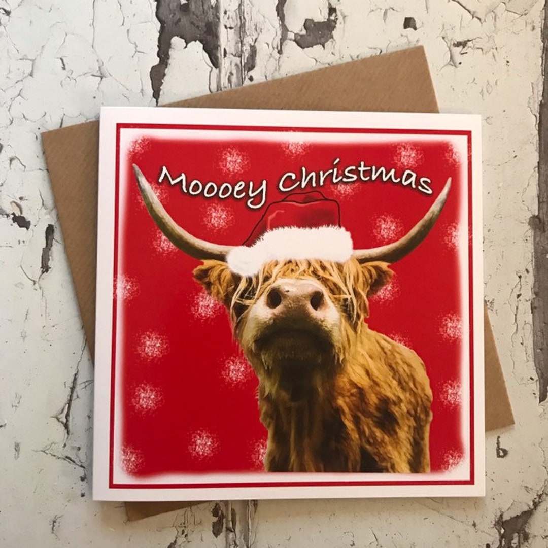 Christmas Card - Highland Cow Card - Highland Cow Christmas Card ...