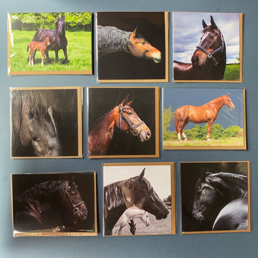 Pack of 5 Horse Greeting Cards Equestrian Greeting Cards Horse Greeting ...