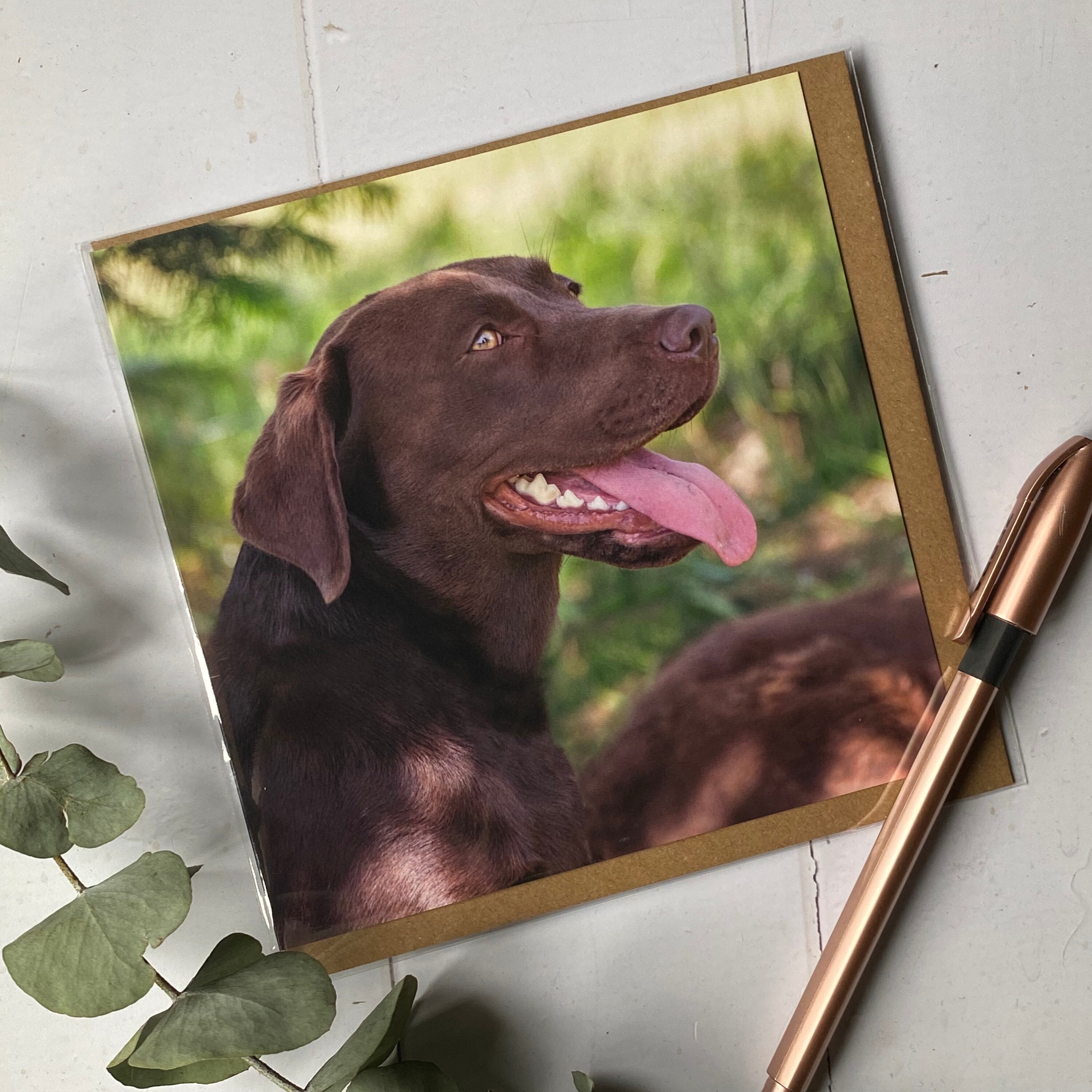 Chocolate Labrador Card Labrador Card Chocolate Labrador - Etsy UK