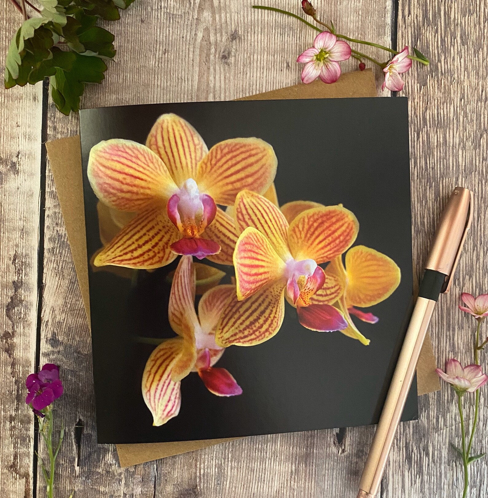 Orchid Greeting Card Greeting Card With Orchids on the Front - Etsy UK
