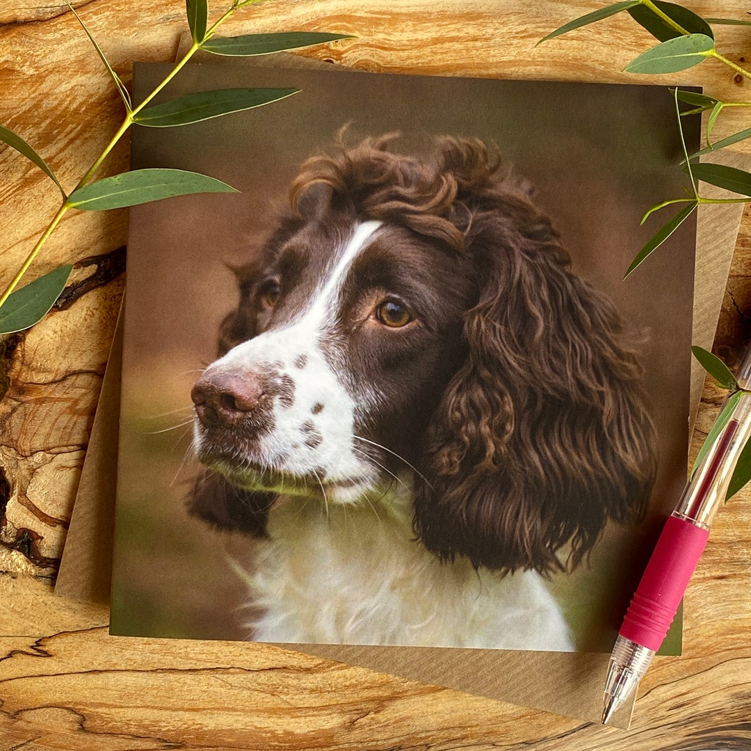 Spaniel Greeting Card Greeting Card With Spaniel on the Front - Etsy