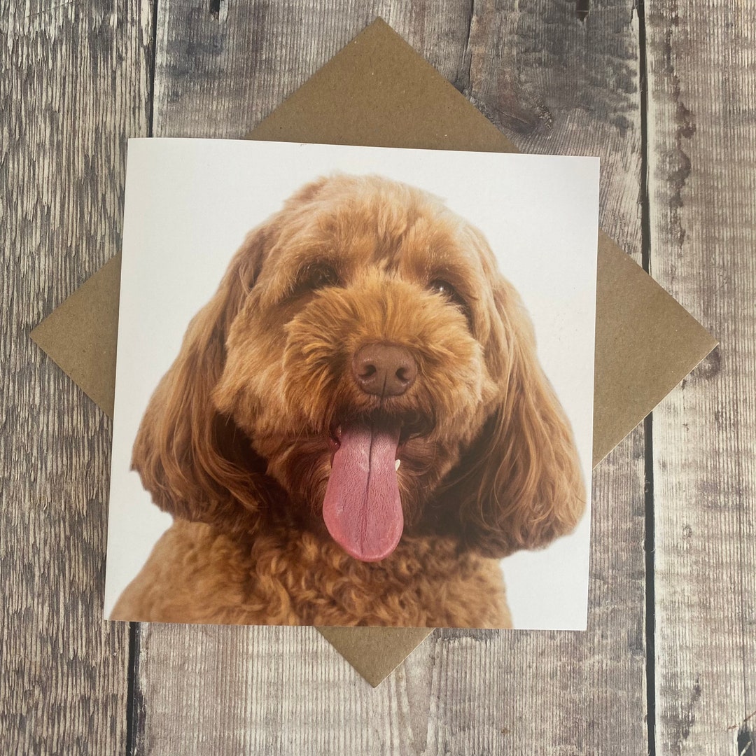 Cockapoo Greeting Card - Dog Birthday Card - Dog Card - Blank Inside ...