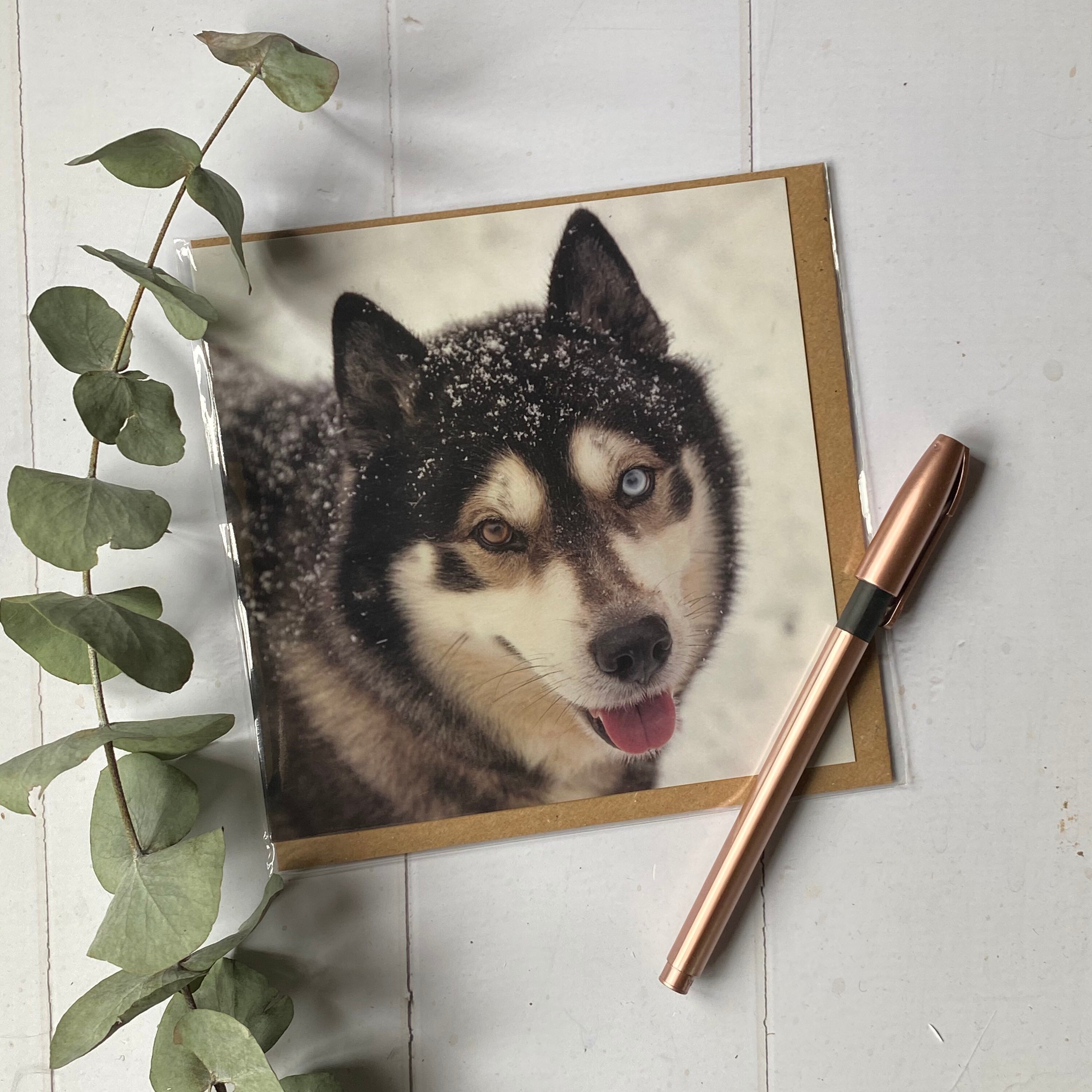 Husky Card Husky in Snow Greeting Cards Husky Portrait - Etsy UK