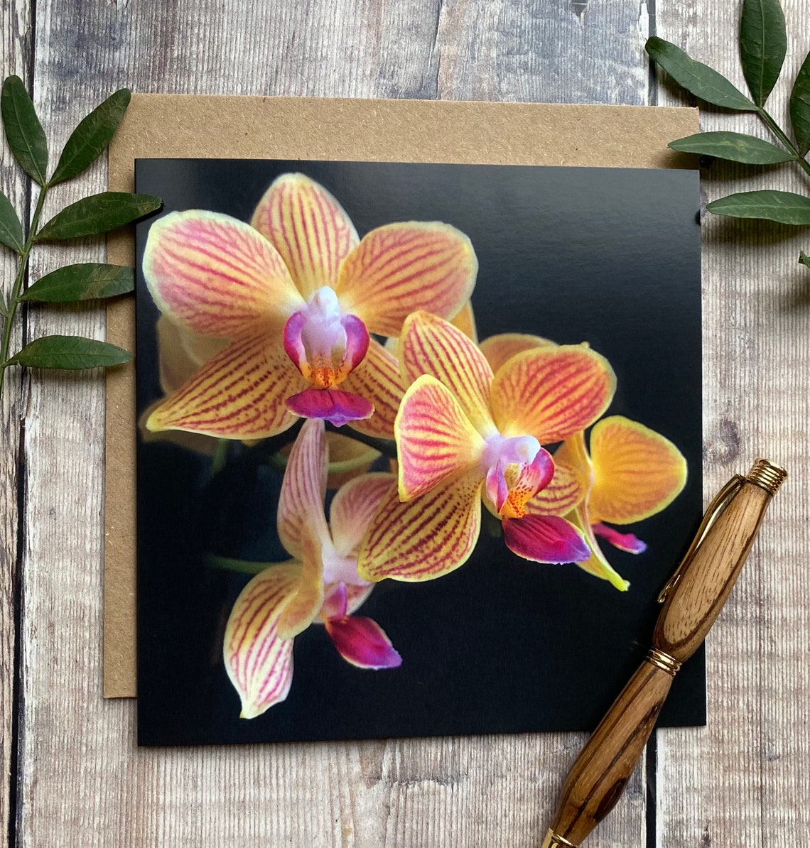 Orchid greeting card greeting card with orchids on the front | Etsy