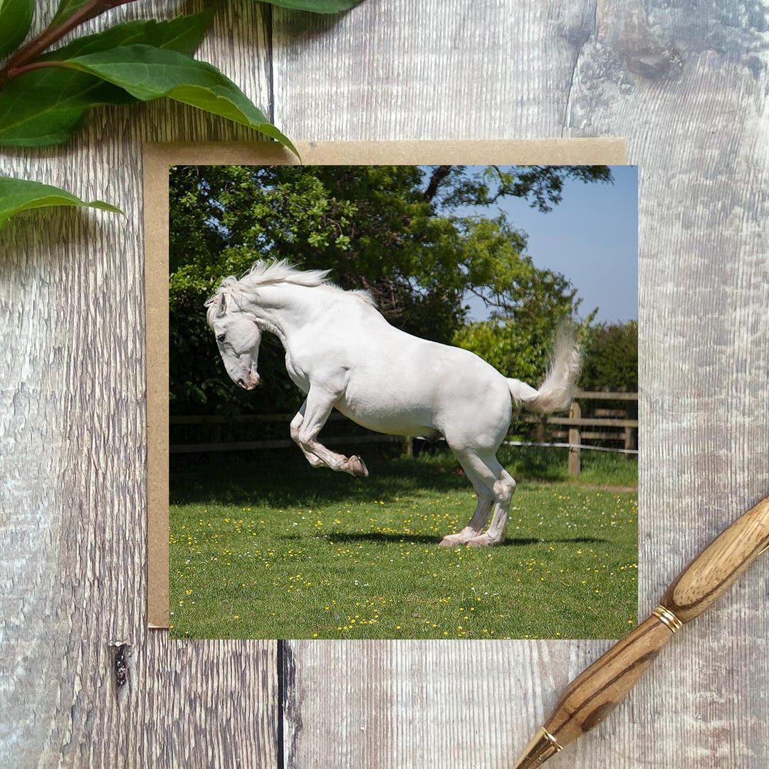 Horse Greeting Card - Horse Rearing up in a Field Greeting Card ...