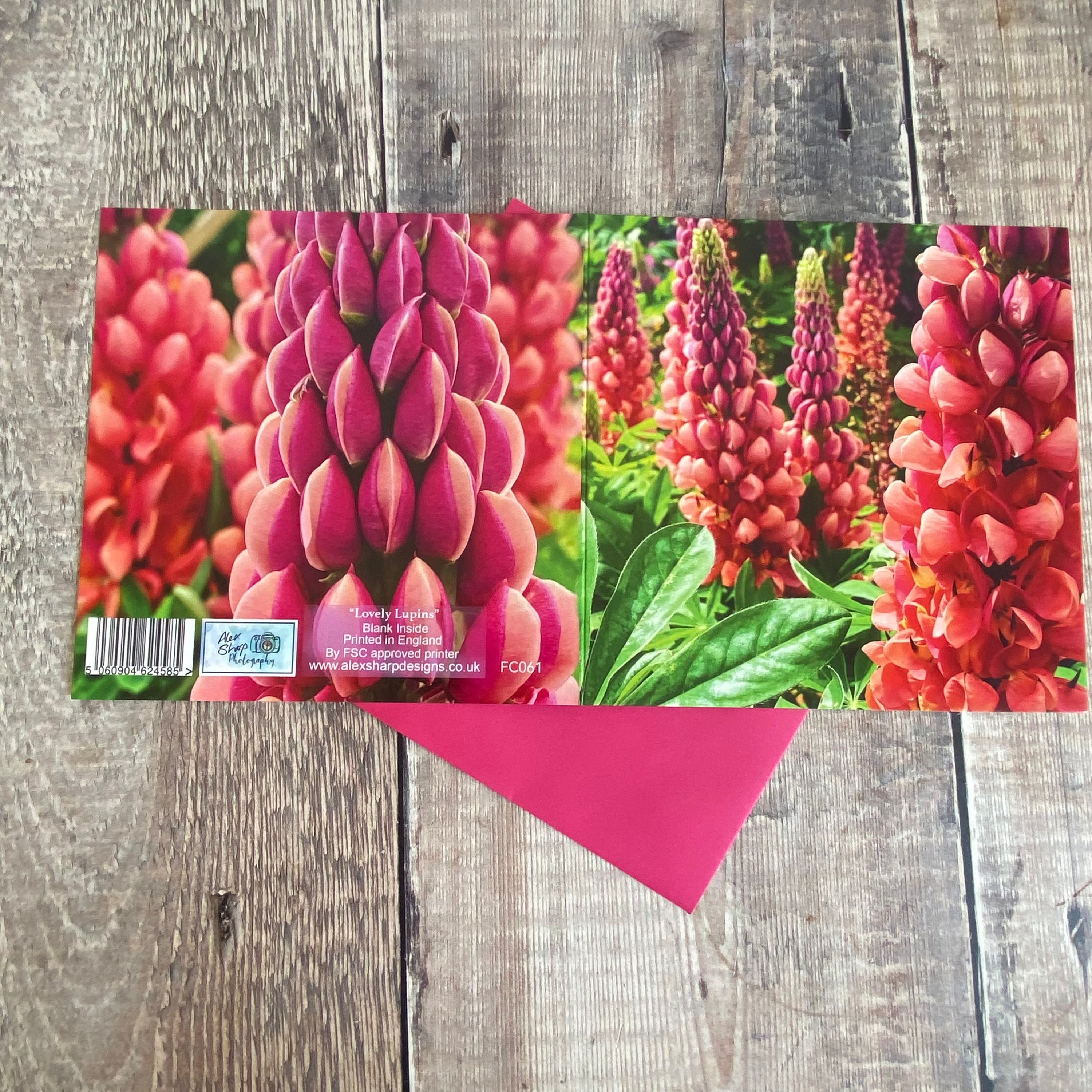 Lupin Greeting Card Orange Lupin Card Flower Birthday Card - Etsy