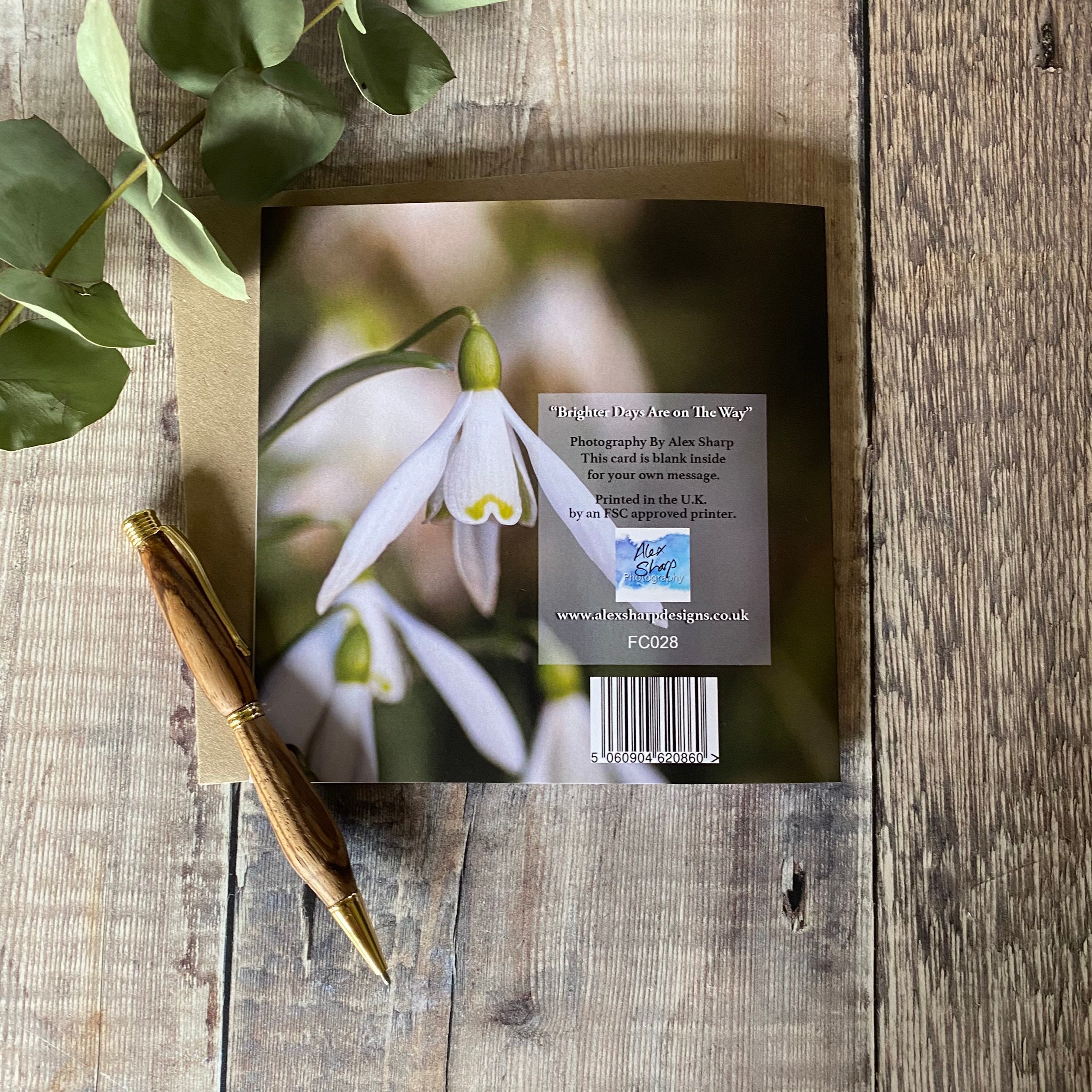 Snowdrop Greeting Card Pretty Snowdrop Card for Birthday or - Etsy