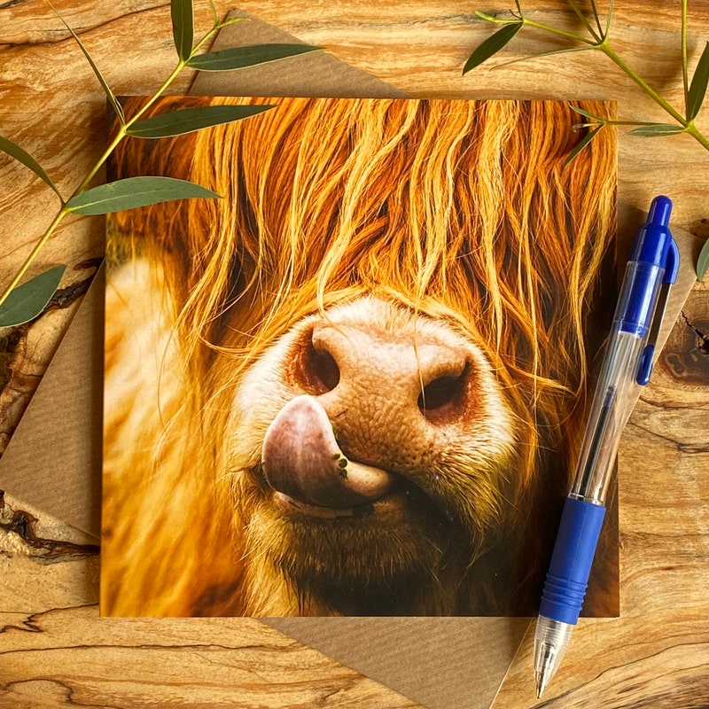 Cow Greeting Card - Etsy