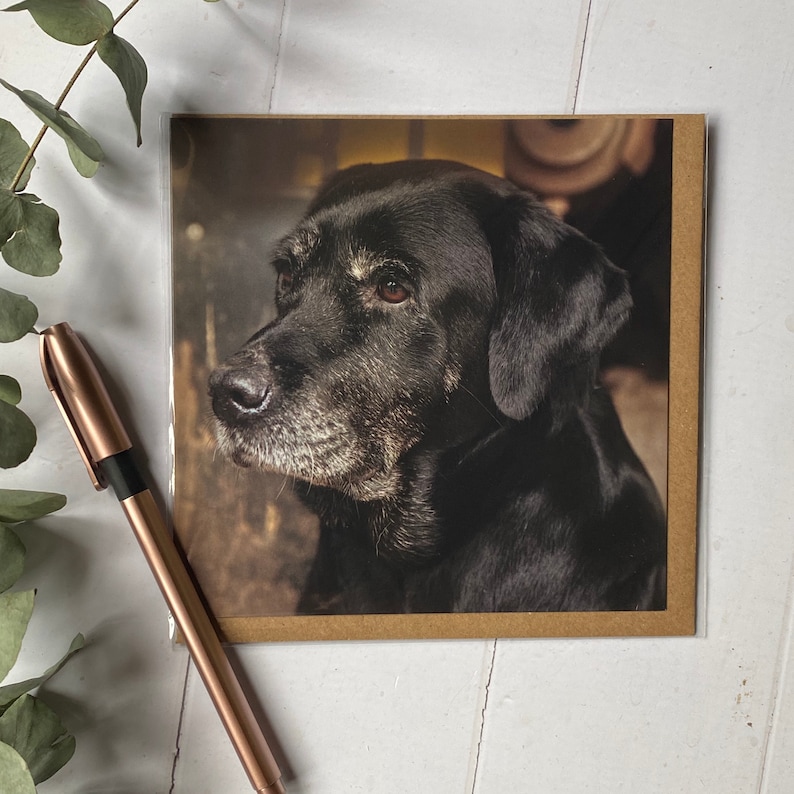 Black Labrador Greeting Card Black Labrador Card Black - Etsy