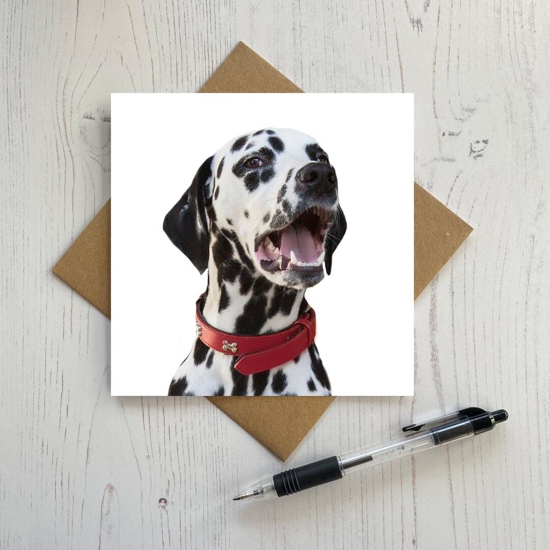 Dalmation Dog Card - Birthday Dog Card - Dog Card - Dalmation Card ...