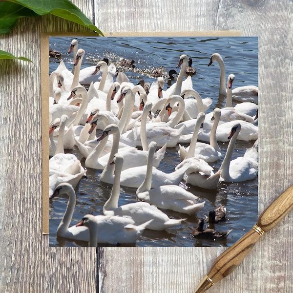 Swan Greeting Card - Etsy