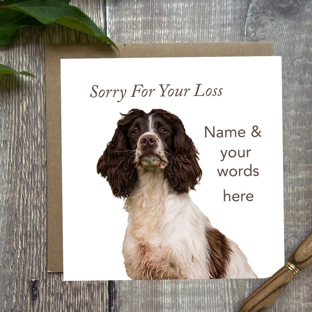 Spaniel Sympathy Card: Dog Loss Condolences, Personalised Option - Etsy UK