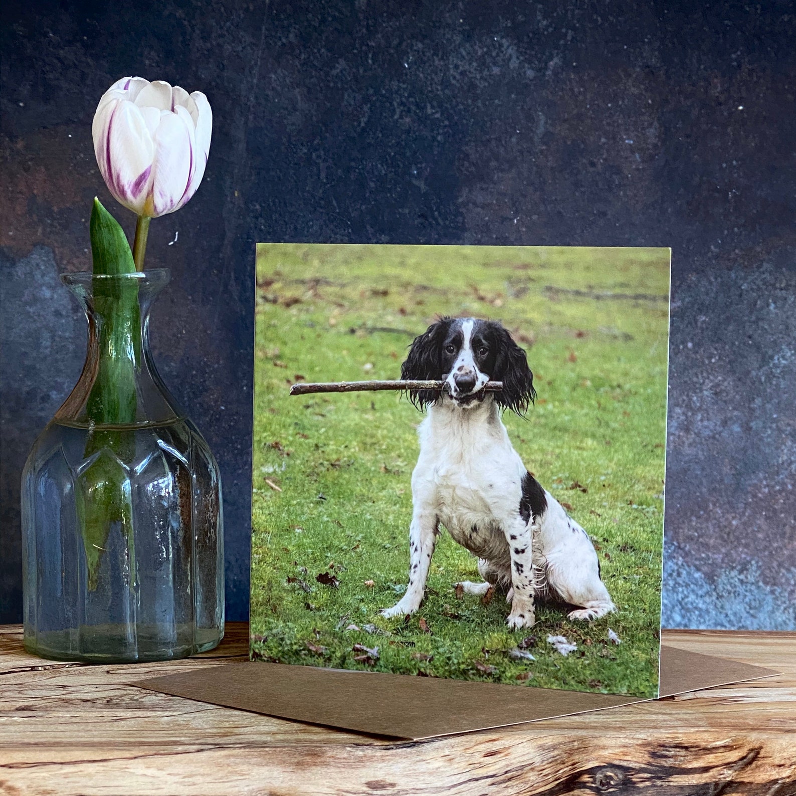 Black and White Spaniel Greeting Card Spaniel Greeting Card - Etsy UK