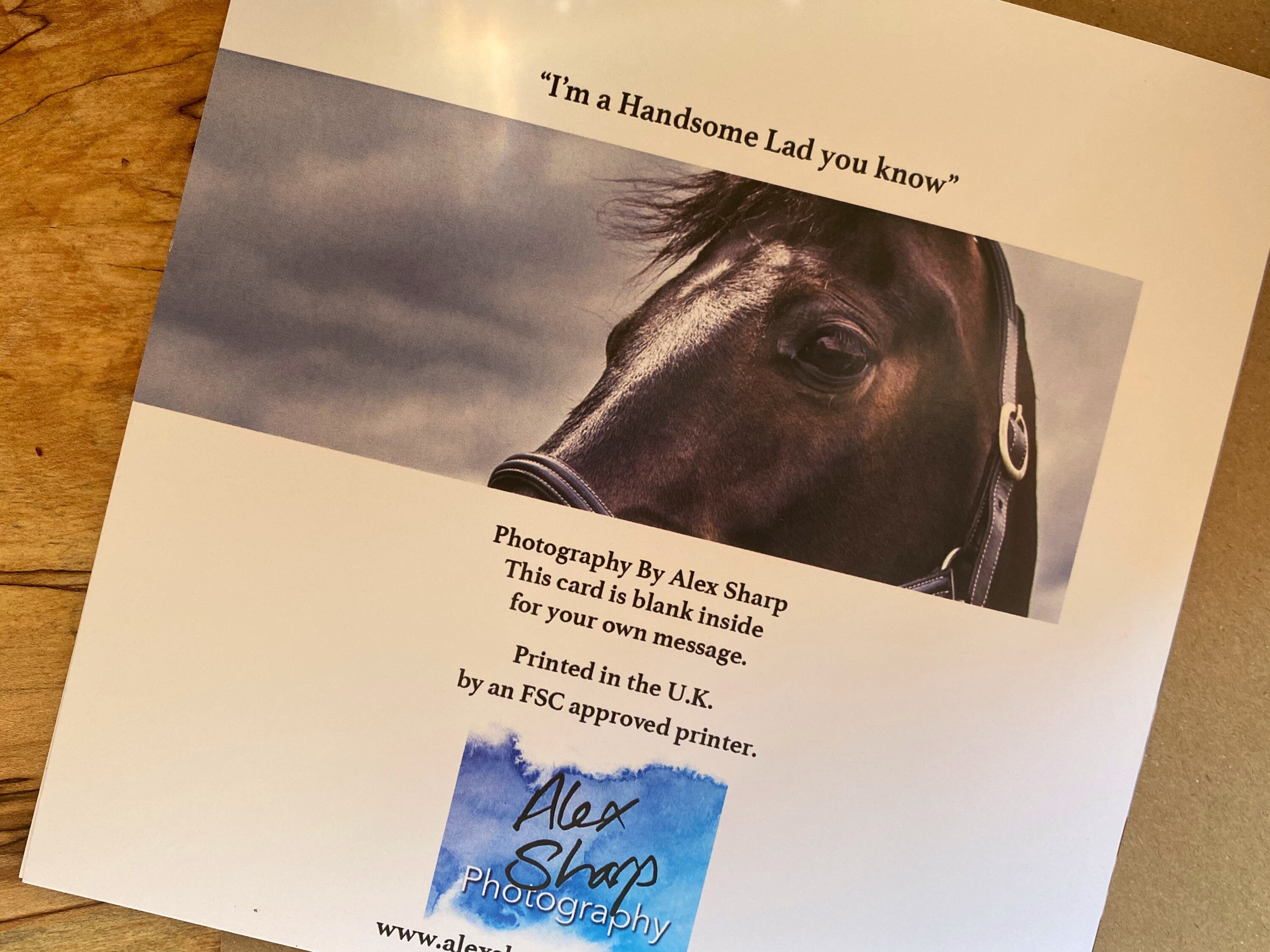 Horse Greeting Card Equestrian Greeting Card Horse - Etsy UK