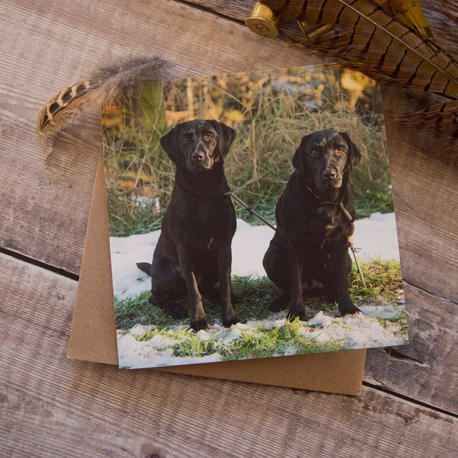 Pack of 10 Pheasant Shoot Greeting Cards - Etsy UK
