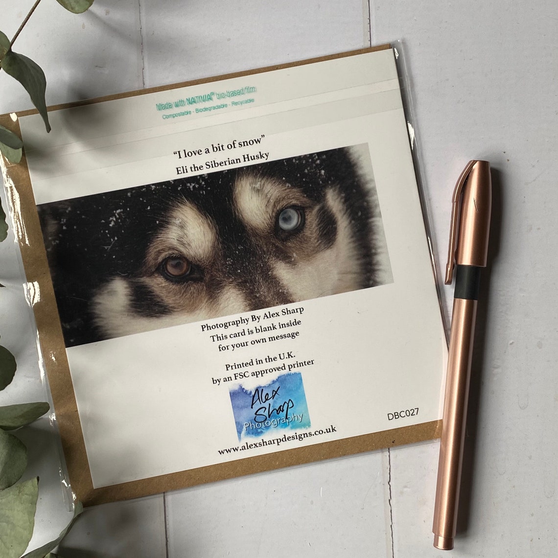 Husky Card Husky in Snow Greeting Cards Husky Portrait - Etsy UK