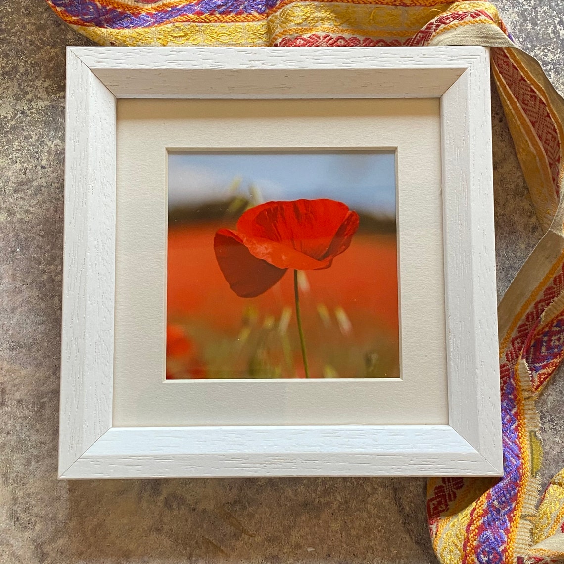 Poppy Photo Print in White Frame Poppy Wall Art Poppy | Etsy