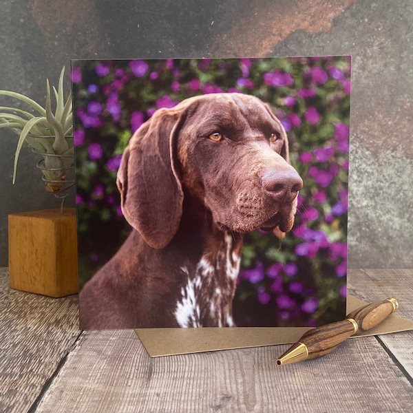 German Shorthaired Pointer Gsp Birthday Card - Etsy Australia