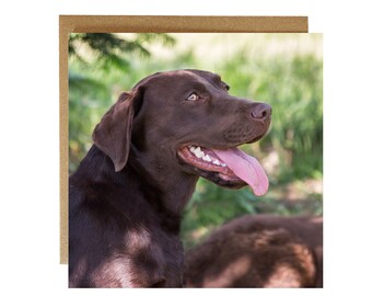 Chocolate Greeting Card | Etsy