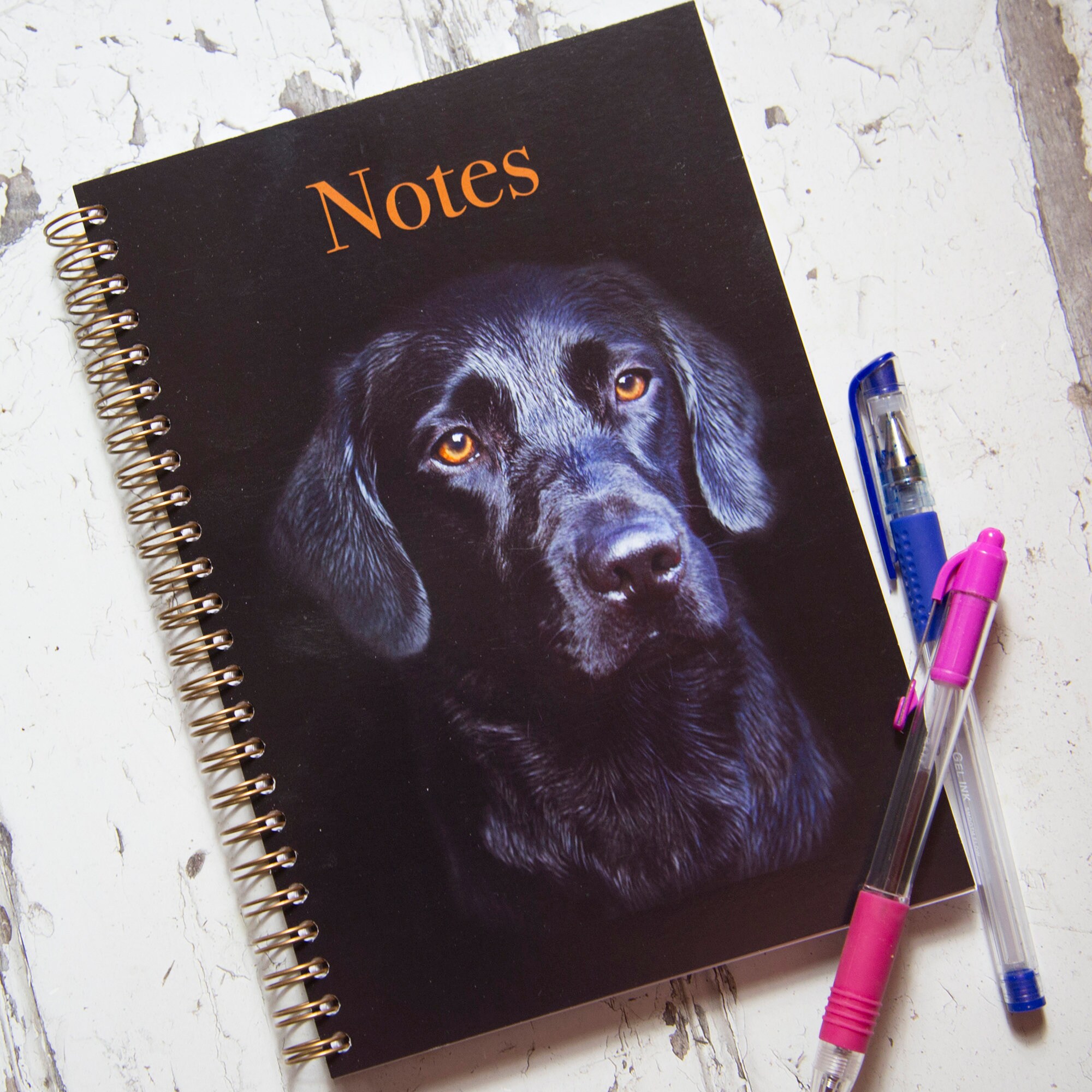 Black Labrador Note Book A5 note book with Black Labrador on | Etsy