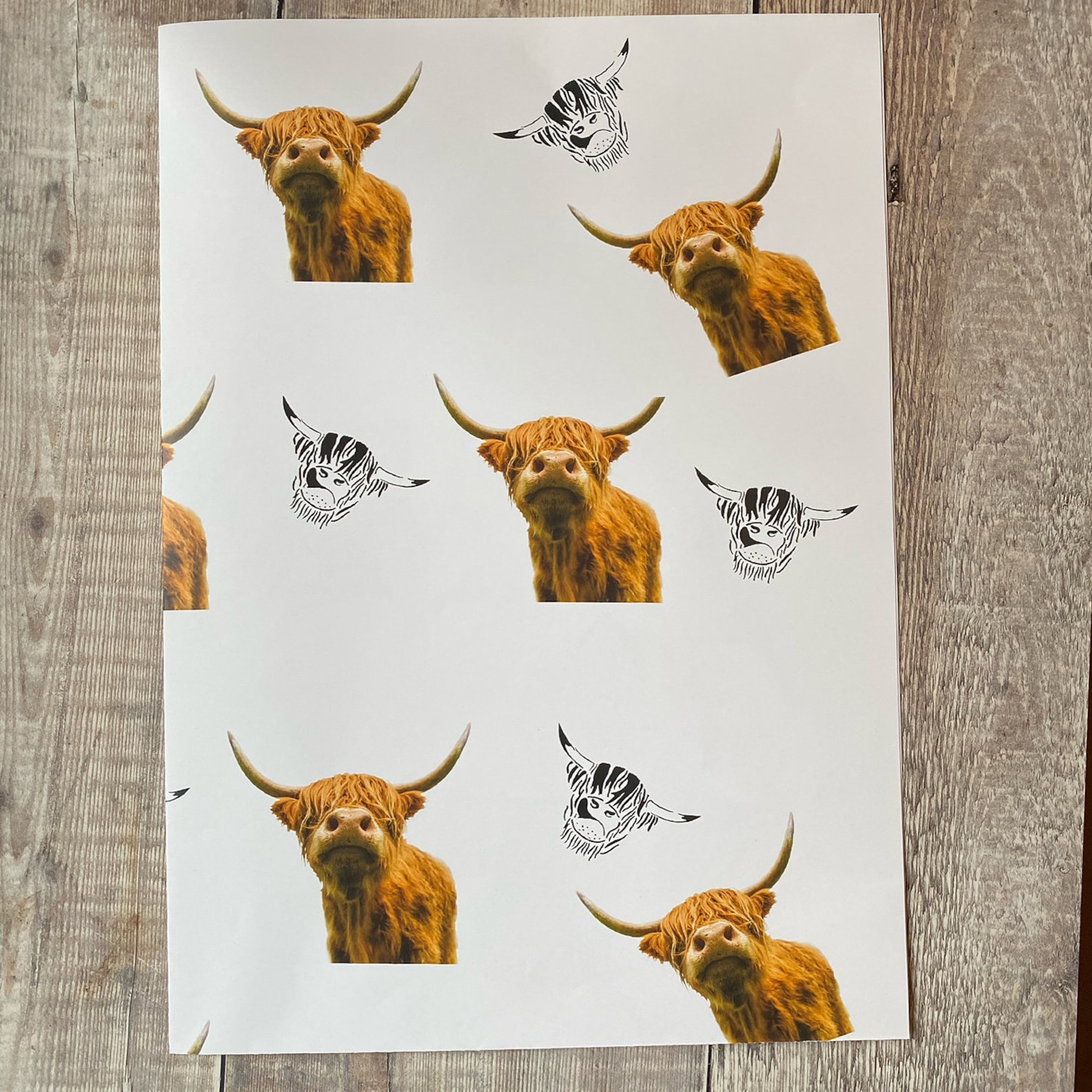 Highland Cow Wrapping Paper Highland Cow Gift Wrap - Etsy