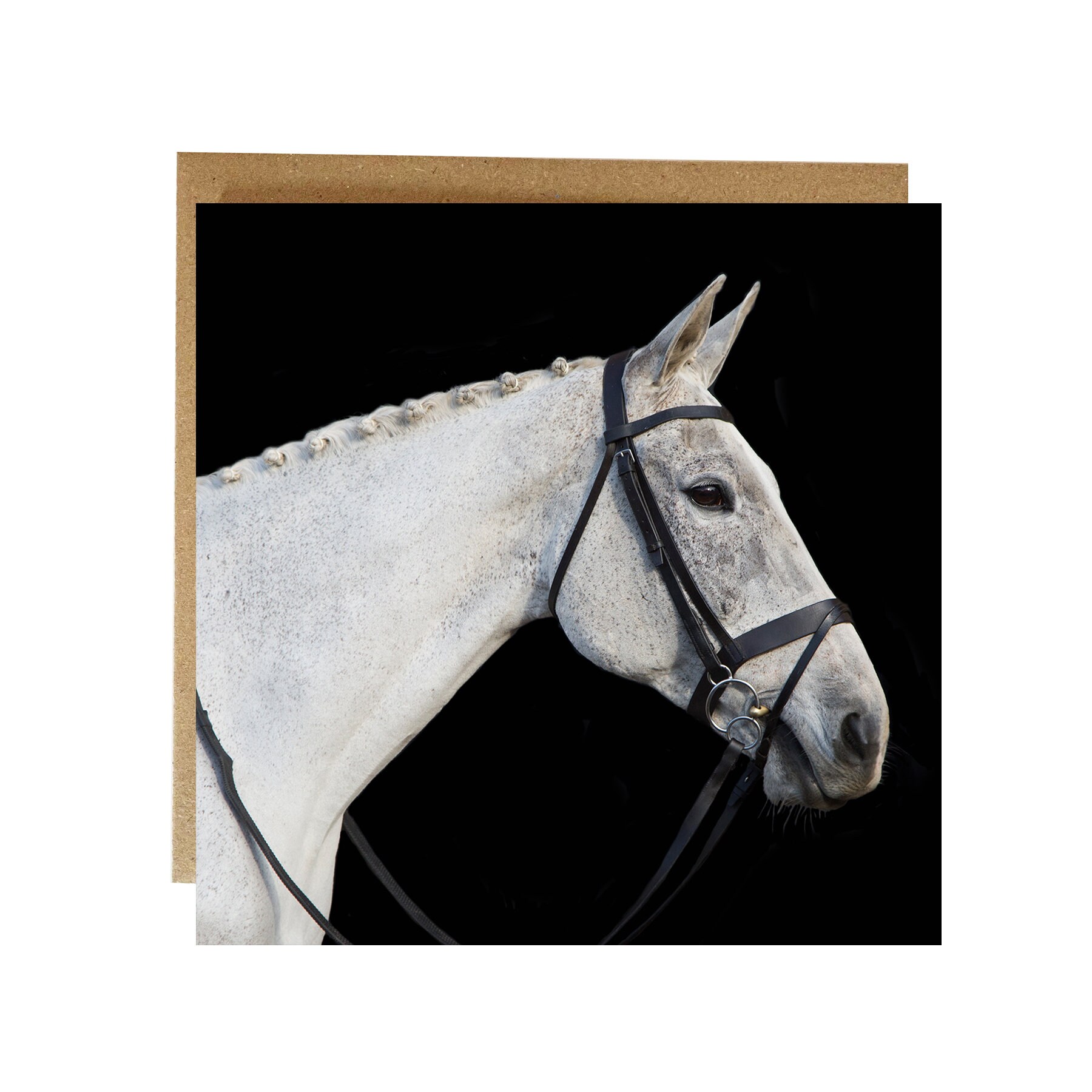 Horse Greeting Card Horse Birthday Card Horse Card Fine - Etsy