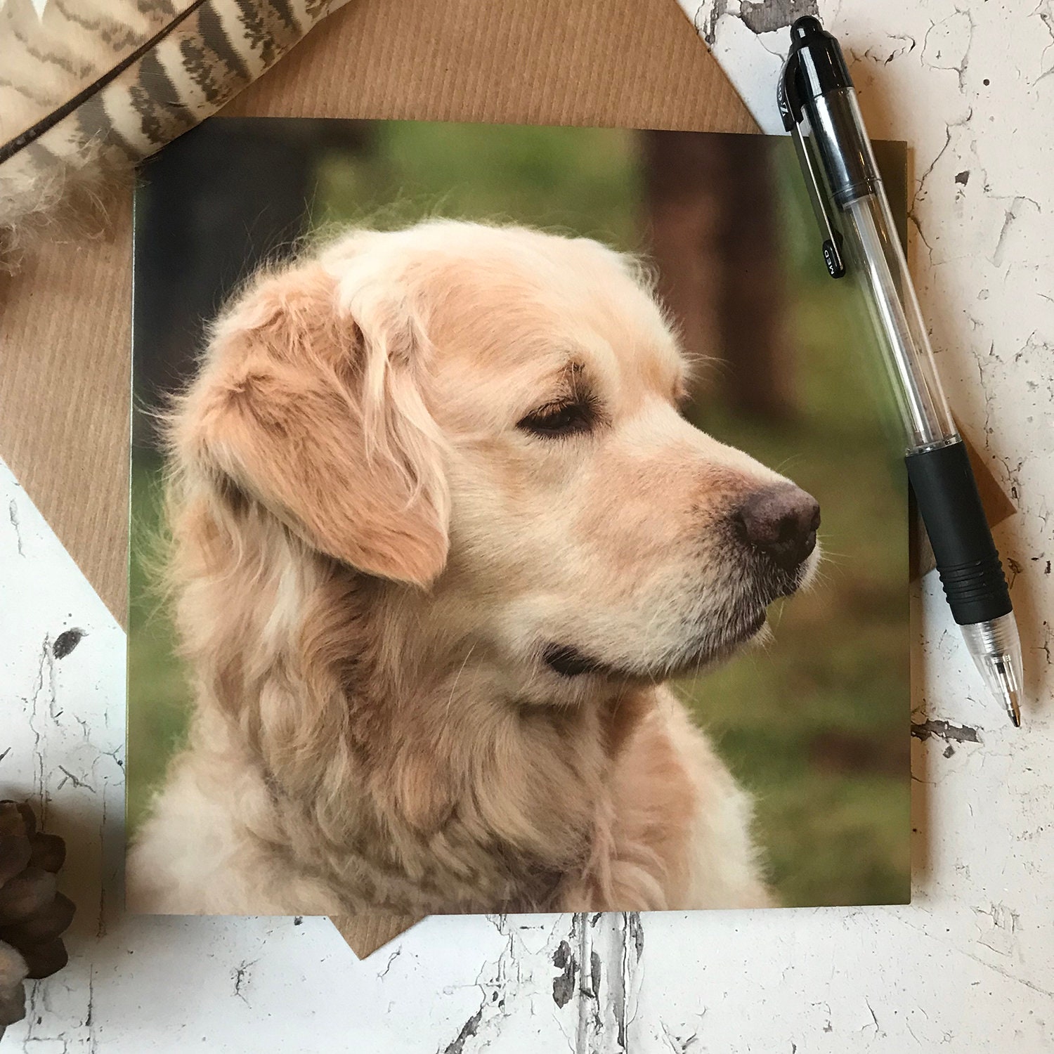 Golden Retriever Greeting Card Pack of 4 Cards Retriever - Etsy