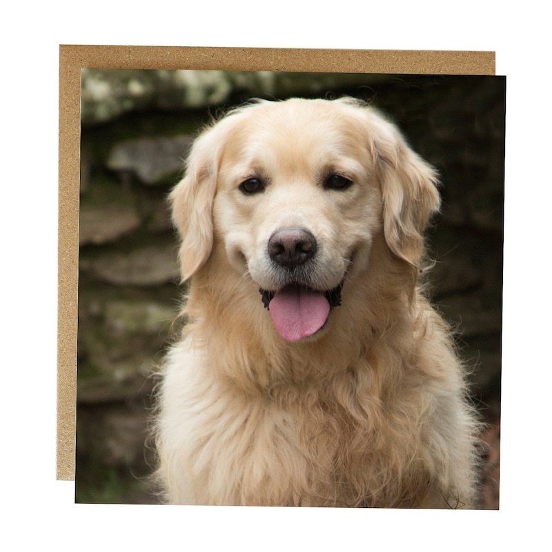 Golden Birthday Card - Etsy