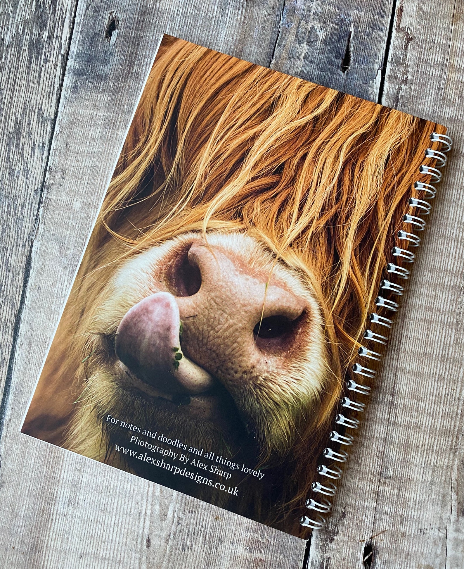 Notebook With Highland Cow Images on Front and Back A5 | Etsy