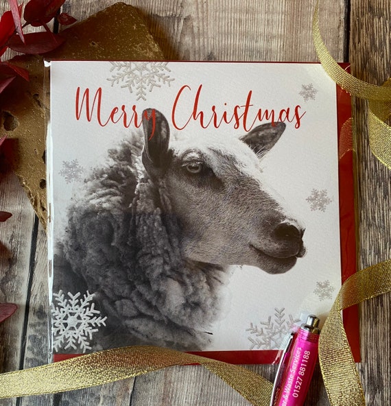 Sheep Christmas Card Farming Christmas Card Countryside - Etsy