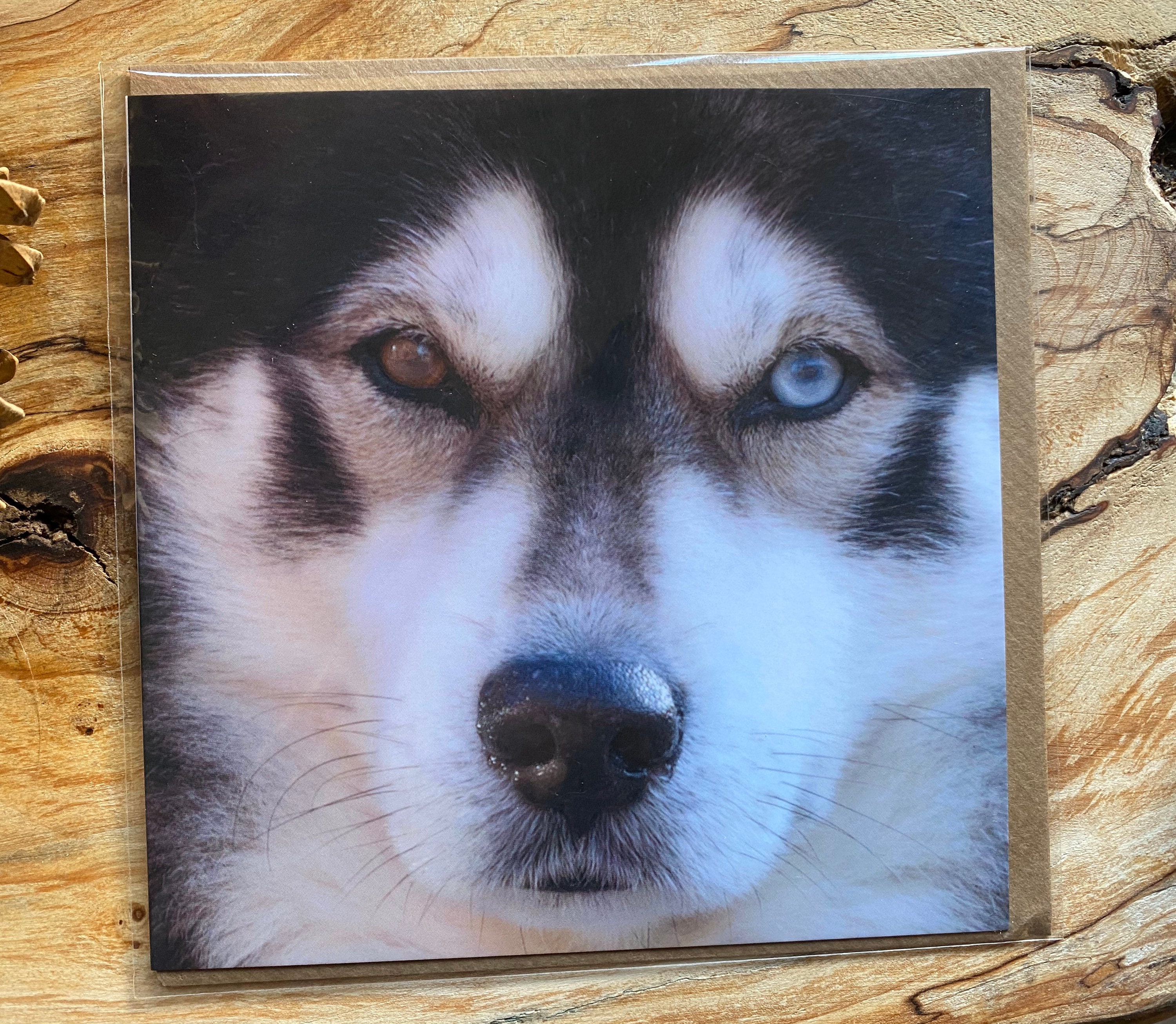 Husky Greeting Card Siberian Husky Birthday Card Siberian Husky Card ...