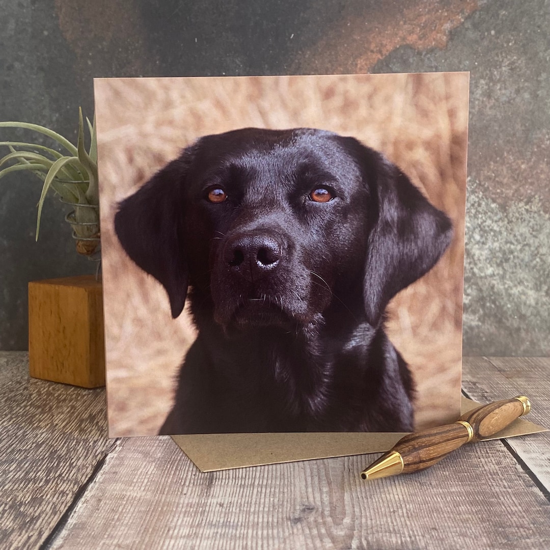Black Labrador Greeting Card - Black Lab Birthday Card - Labrador ...