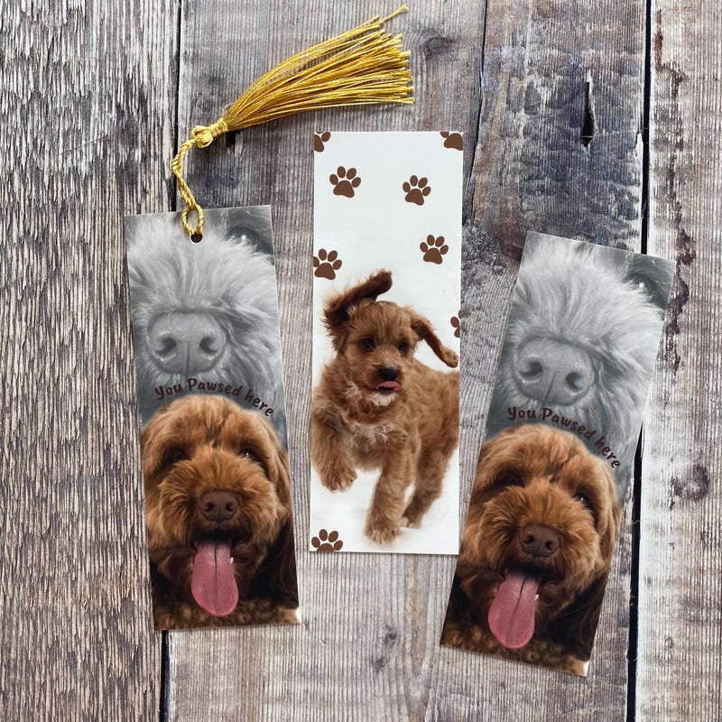 Cockapoo Gift - 60+ Gift Ideas for 2025