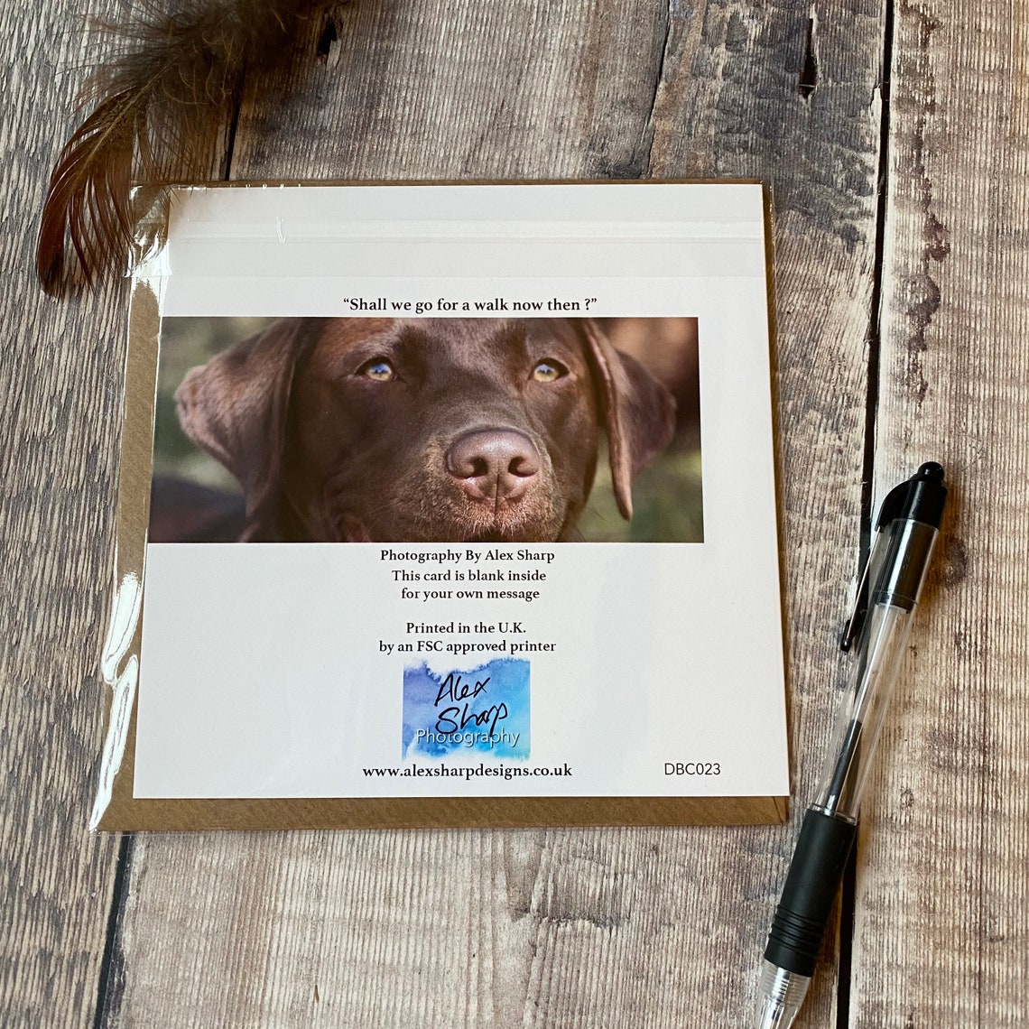 Chocolate Labrador Greeting Card / Labrador Card /chocolate - Etsy UK