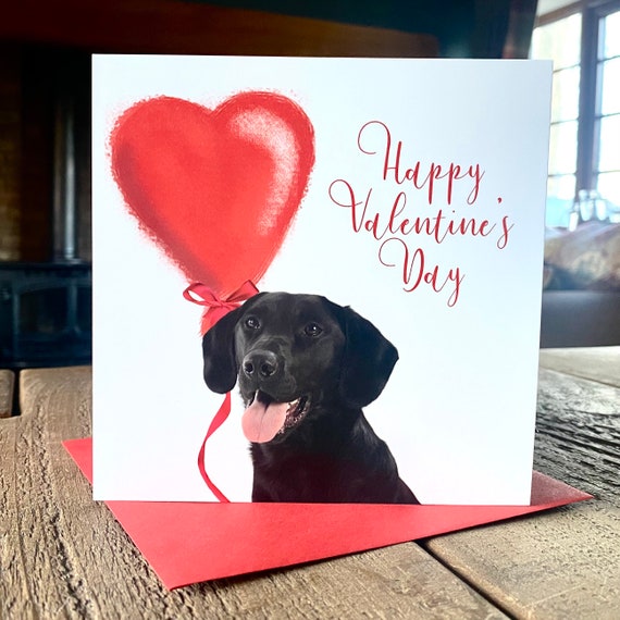 Black Lab Valentine Amazon.com : Happy Valentine Day Cute Black