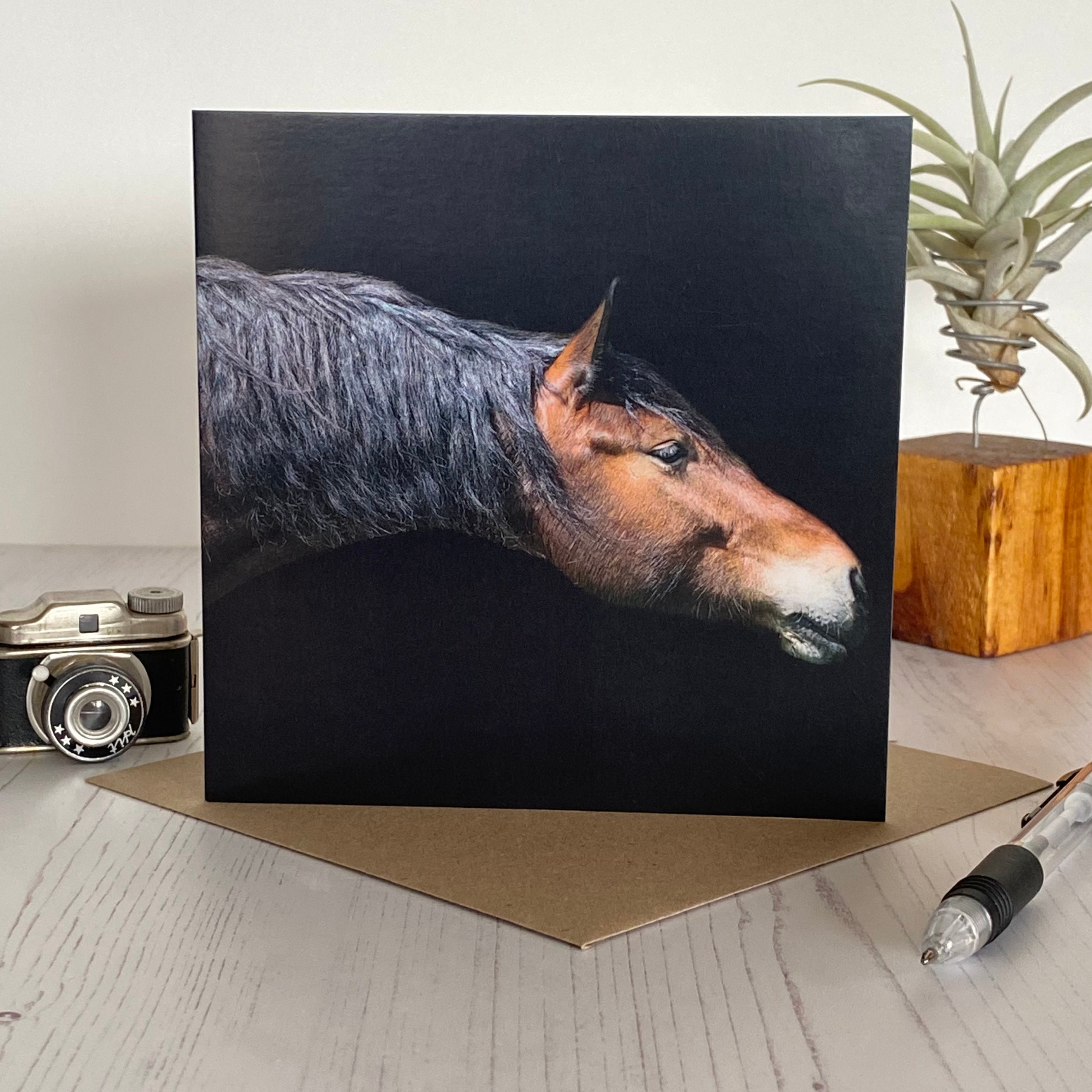 Horse Greeting Card, Standing Proud, Horse Card Horse Gift Birthday ...