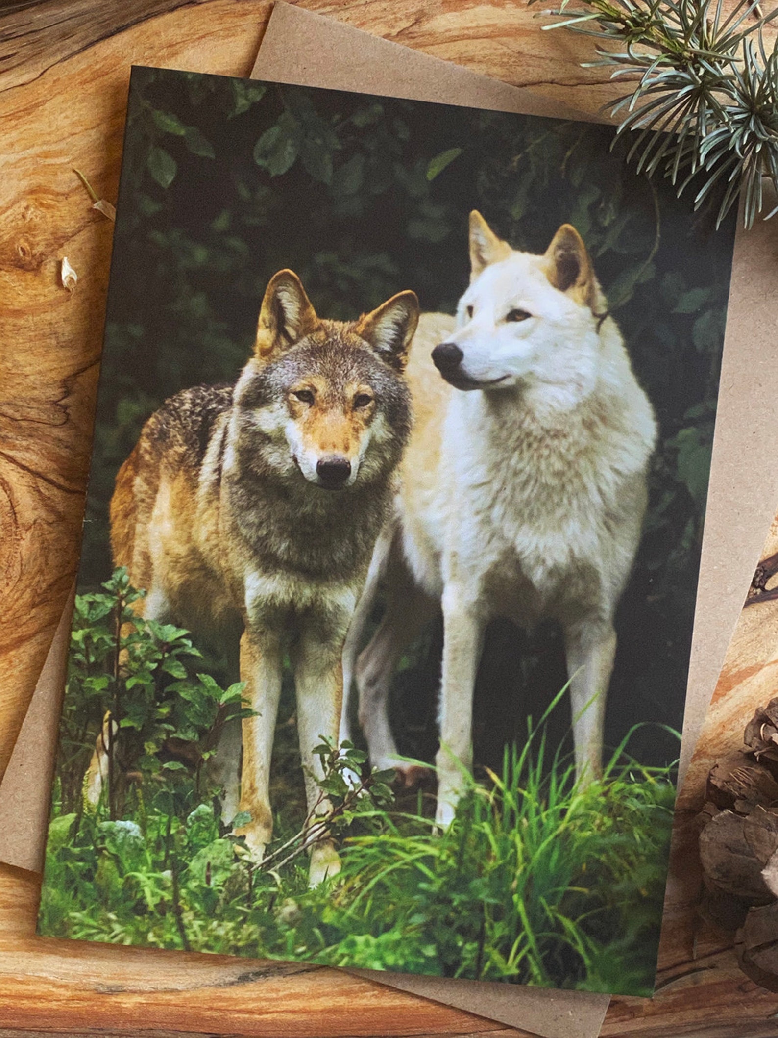 Wolf Greeting Card Greeting Card With Wolves on the Front. - Etsy UK