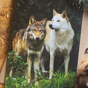 Wolf Greeting Card Greeting Card With Wolves on the Front. Wolf Lover ...