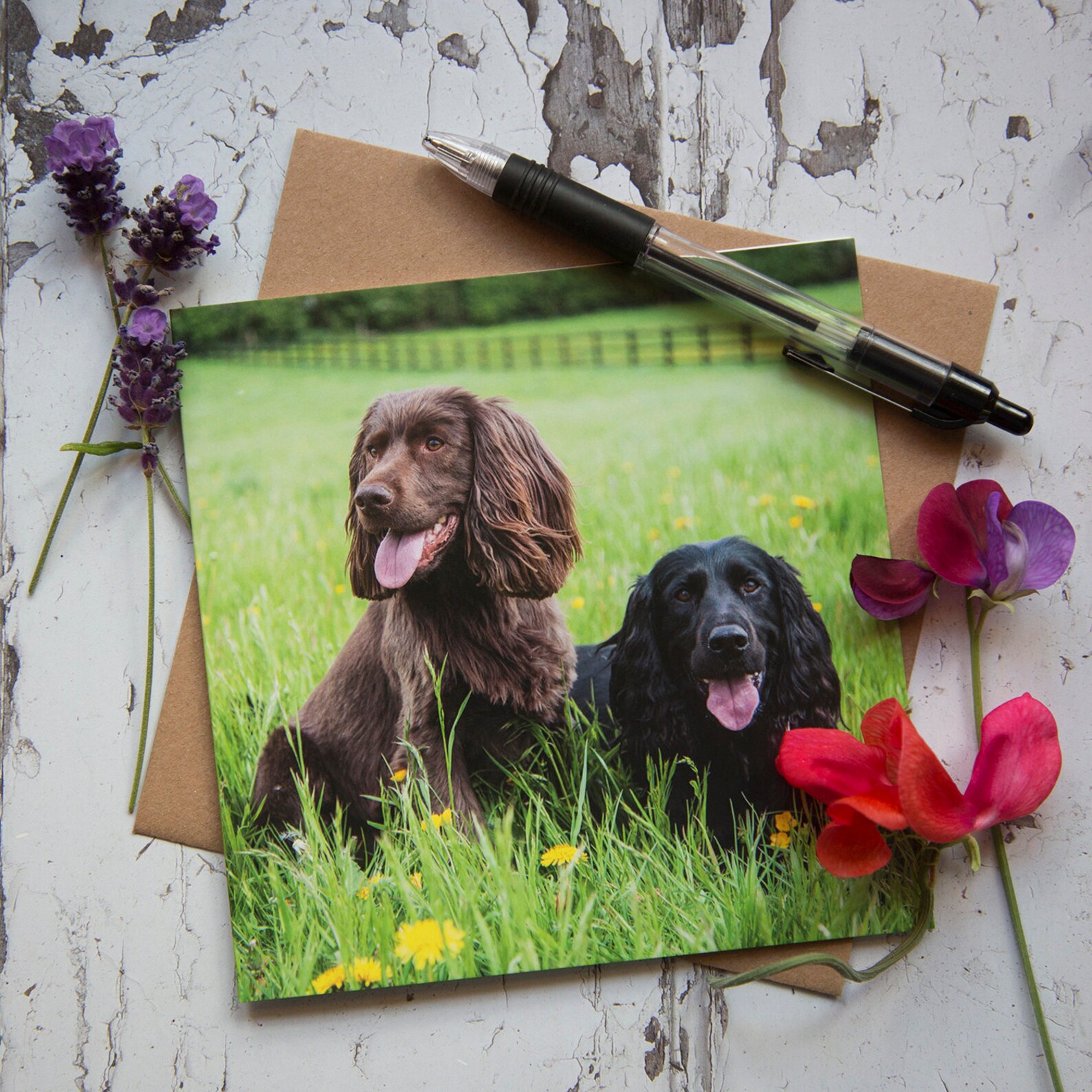 Spaniel Greeting Card Blank Card Spaniel Birthday Card - Etsy