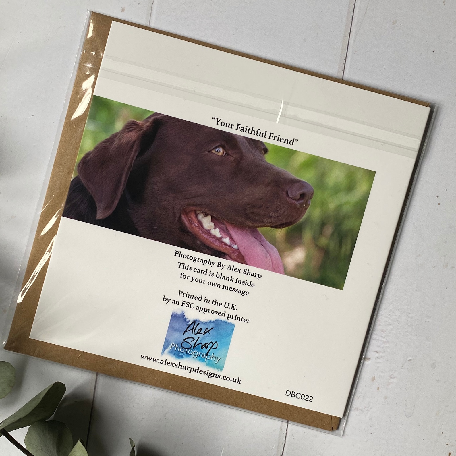 Chocolate Labrador Card Labrador Card Chocolate Labrador - Etsy UK