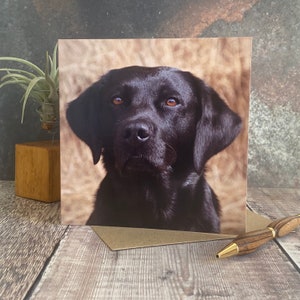 Black Labrador Greeting Card - Black Lab Birthday Card - Labrador ...